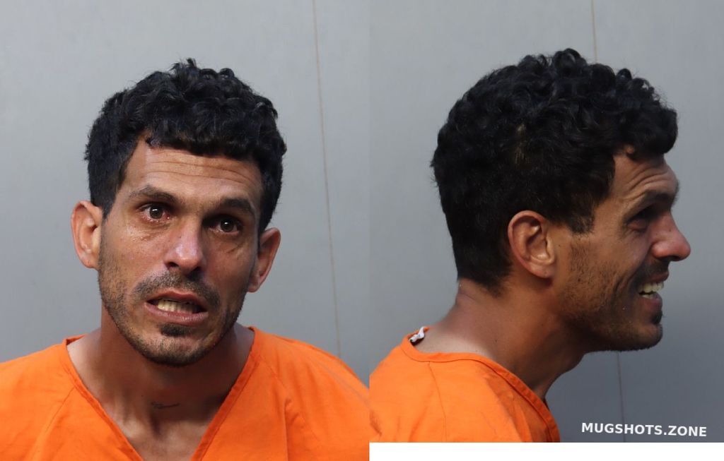GONZALEZ ARIEL 03/14/2025 - Miami-Dade County Mugshots Zone