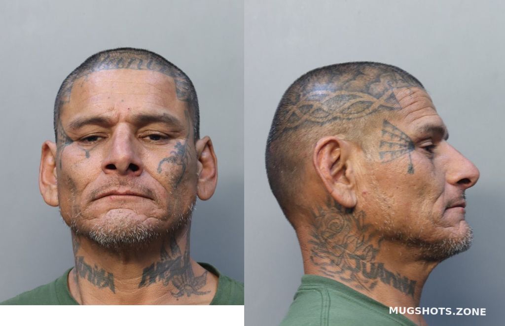 ALANIZ NOE 03/14/2025 - Miami-Dade County Mugshots Zone