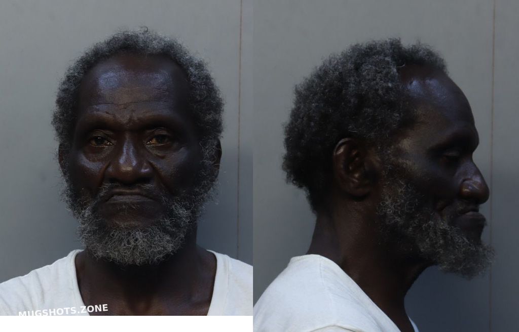 WILEY DONALD 03/16/2025 - Miami-Dade County Mugshots Zone
