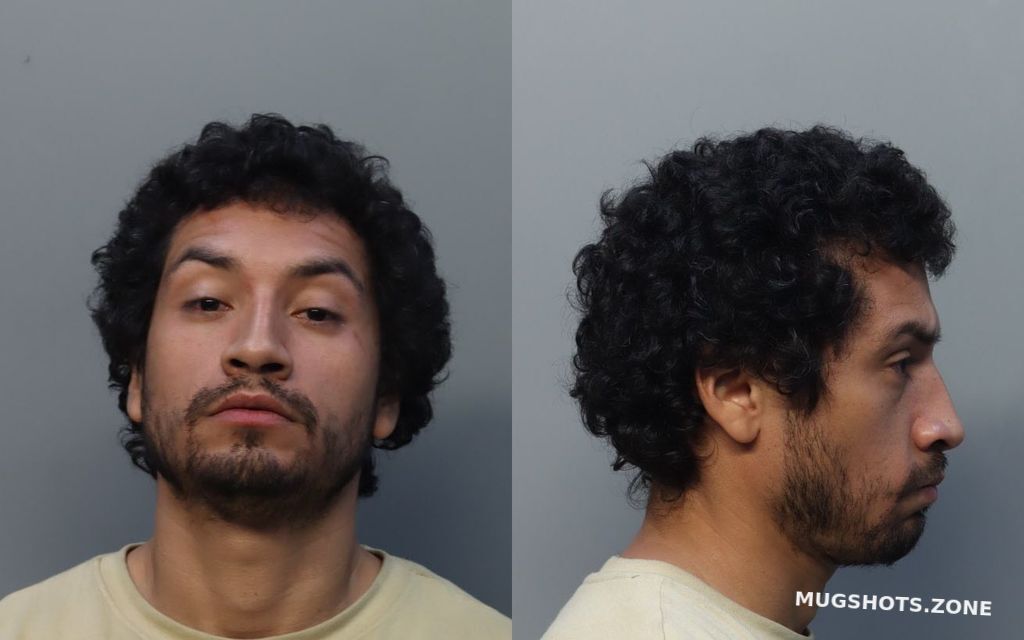 CRUZ BRYAN RENE 03/18/2025 - Miami-Dade County Mugshots Zone