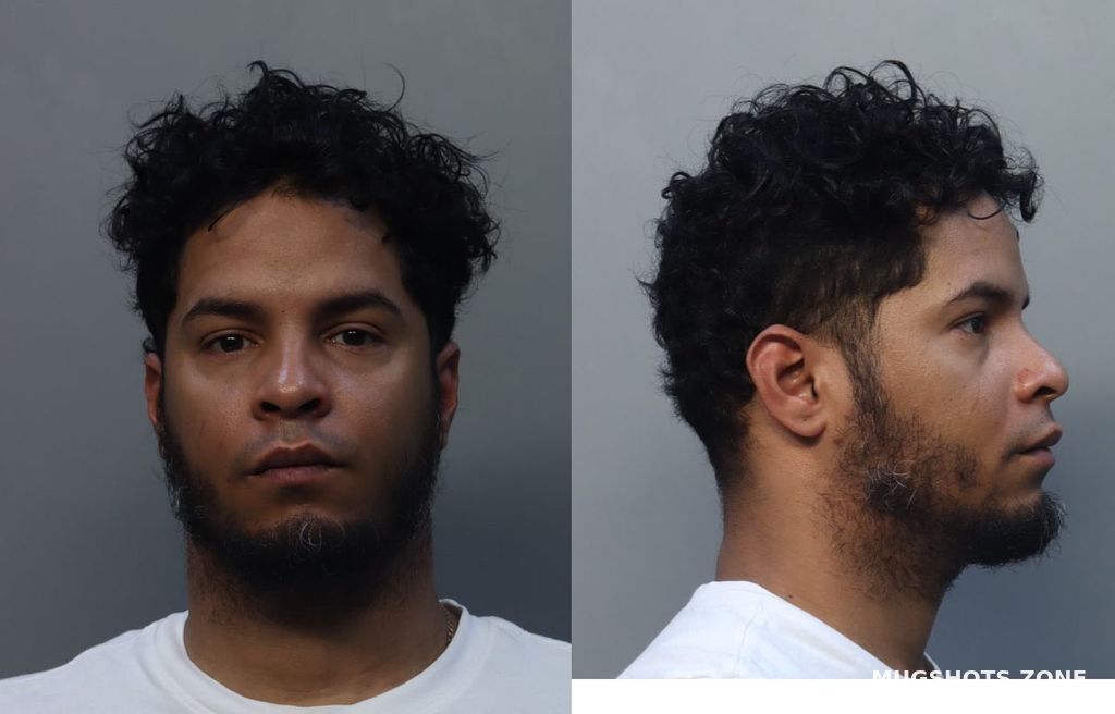 PEREZ-RODRIGUEZ ERICHEL 03/25/2025 - Miami-Dade County Mugshots Zone