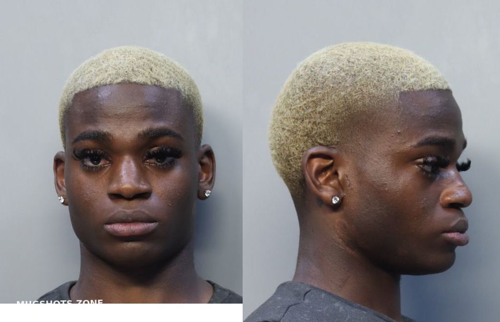 TYRONE TERRELL 03/25/2025 - Miami-Dade County Mugshots Zone