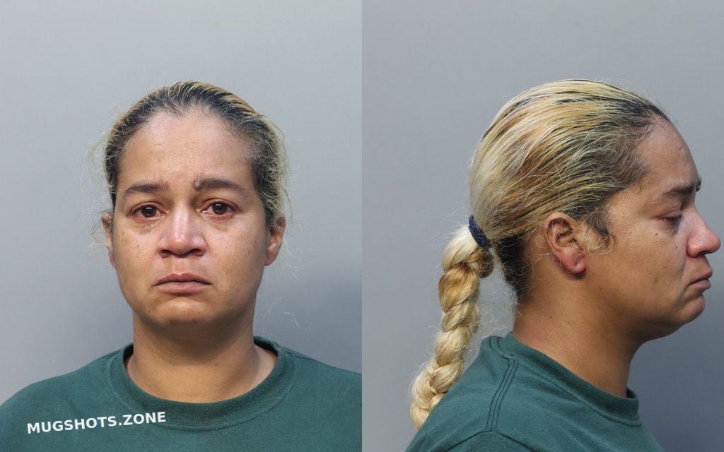 WILSON VIANCA MARIA 03/25/2025 - Miami-Dade County Mugshots Zone