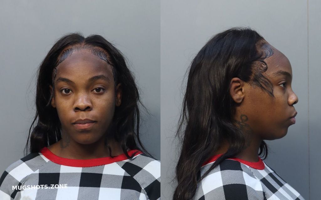 ALEXANDER JOHNNIKA 03/26/2025 - Miami-Dade County Mugshots Zone