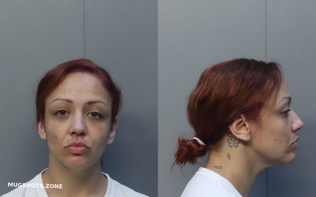 TERRAS YAREMIS INES 03/26/2025 - Miami-Dade County Mugshots Zone