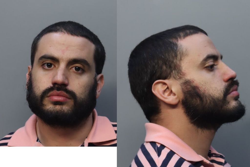 LEVY LESVY 03/26/2025 - Miami-Dade County Mugshots Zone
