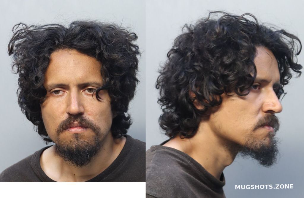 RIZO-ROJAS BRYAN DAVID 03/27/2025 - Miami-Dade County Mugshots Zone