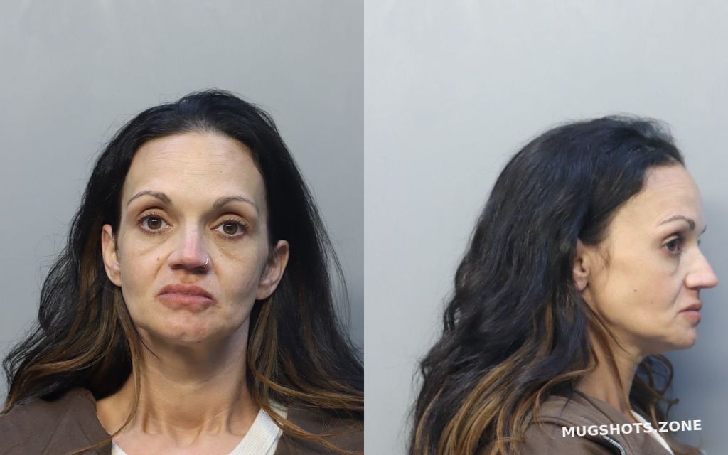 TERRY CASEY LYNN 03/27/2025 - Miami-Dade County Mugshots Zone