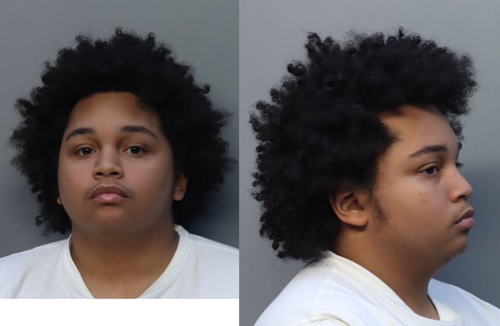 SERRANO LORENZO ALBERTO 03/27/2025 - Miami-Dade County Mugshots Zone