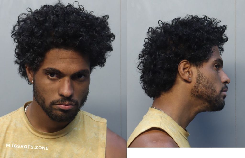 FERRER RONALD ARADA 03/28/2025 - Miami-Dade County Mugshots Zone