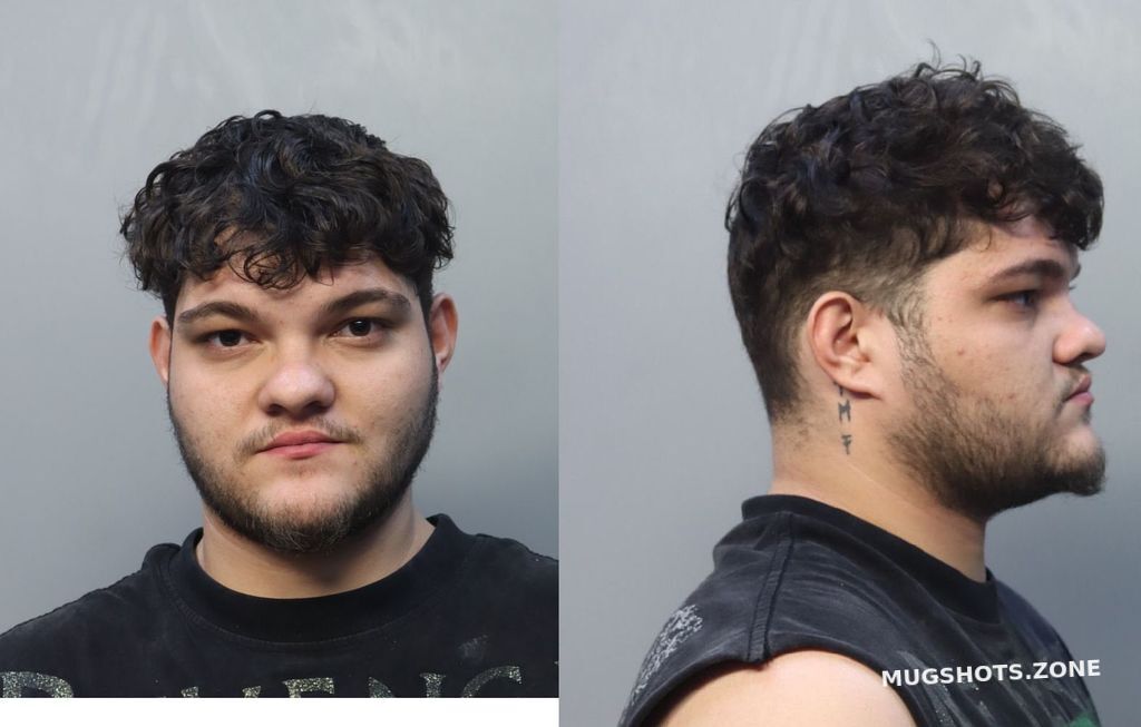 VILA WILFREDO 03/30/2025 - Miami-Dade County Mugshots Zone