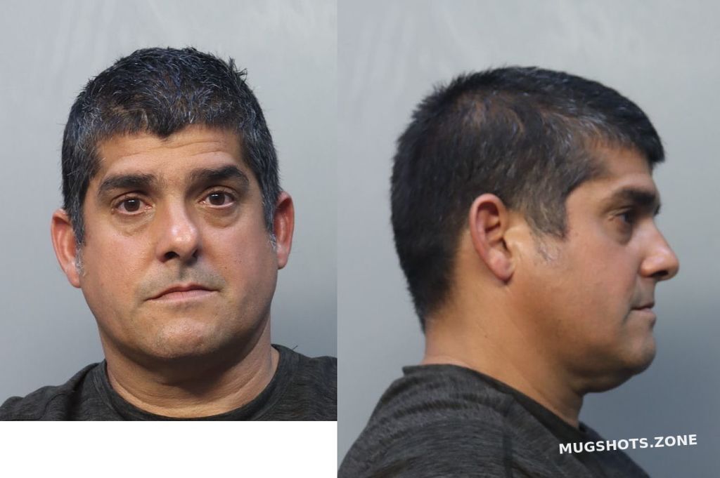 DORTA LUIS FERNANDEZ 03/30/2025 - Miami-Dade County Mugshots Zone