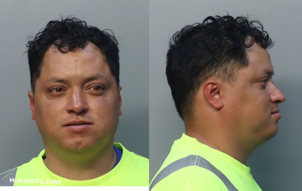 ALVAREZ ISIDRO 03/30/2025 - Miami-Dade County Mugshots Zone