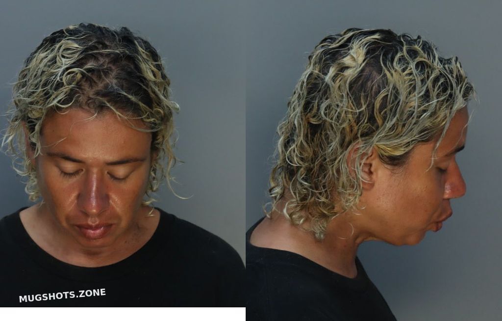 SAAVEDRA VIRGINIA 03/31/2025 - Miami-Dade County Mugshots Zone