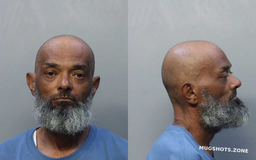 CASTILLO HECTOR J 04/01/2025 - Miami-Dade County Mugshots Zone