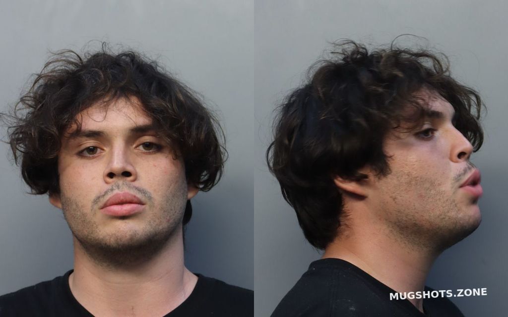 RIOS MATTHEW ALEXIS 04/01/2025 - Miami-Dade County Mugshots Zone