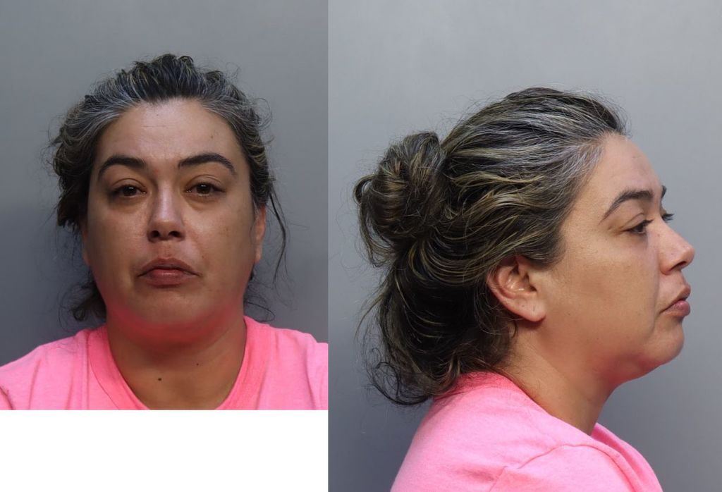 RODRIGUEZ AMY DAGLEY 04/01/2025 - Miami-Dade County Mugshots Zone