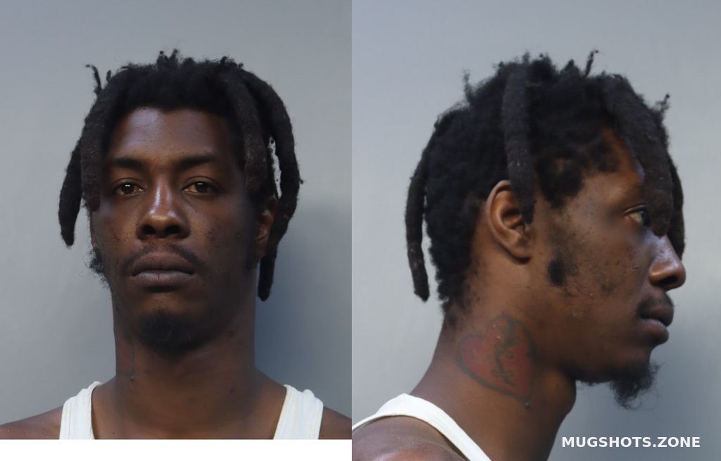 BROWN JAMES EDWARD 04/04/2025 - Miami-Dade County Mugshots Zone