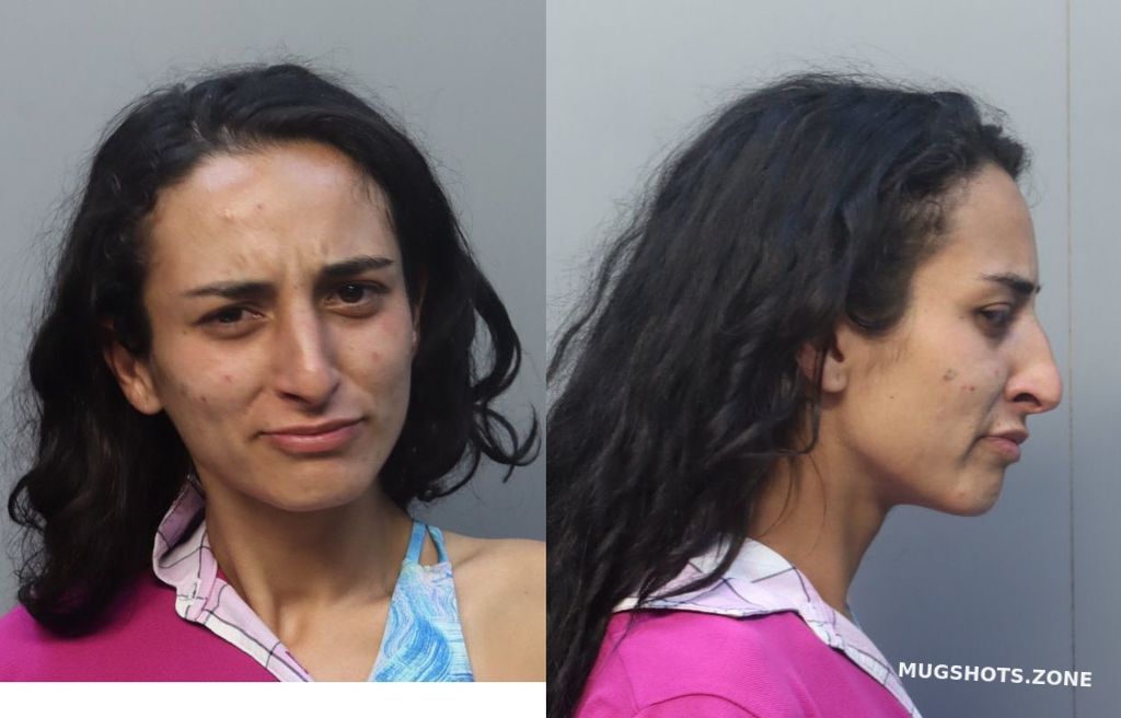 TORRES DANIELA ROSA 04/04/2025 - Miami-Dade County Mugshots Zone