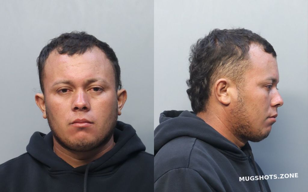 SAUCEDA ELKIN ABENER 04/12/2025 - Miami-Dade County Mugshots Zone