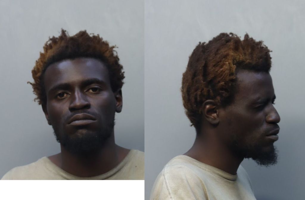 WILLIAMS KIMONI 04/14/2025 - Miami-Dade County Mugshots Zone