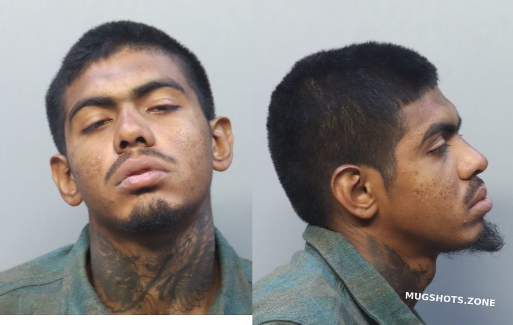 GOMEZ JASHUA 04/15/2025 - Miami-Dade County Mugshots Zone