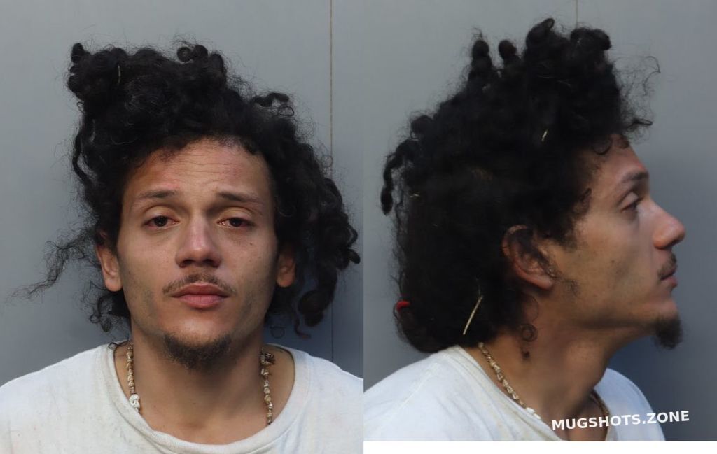 RIOS ALBERT D 04/18/2025 - Miami-Dade County Mugshots Zone