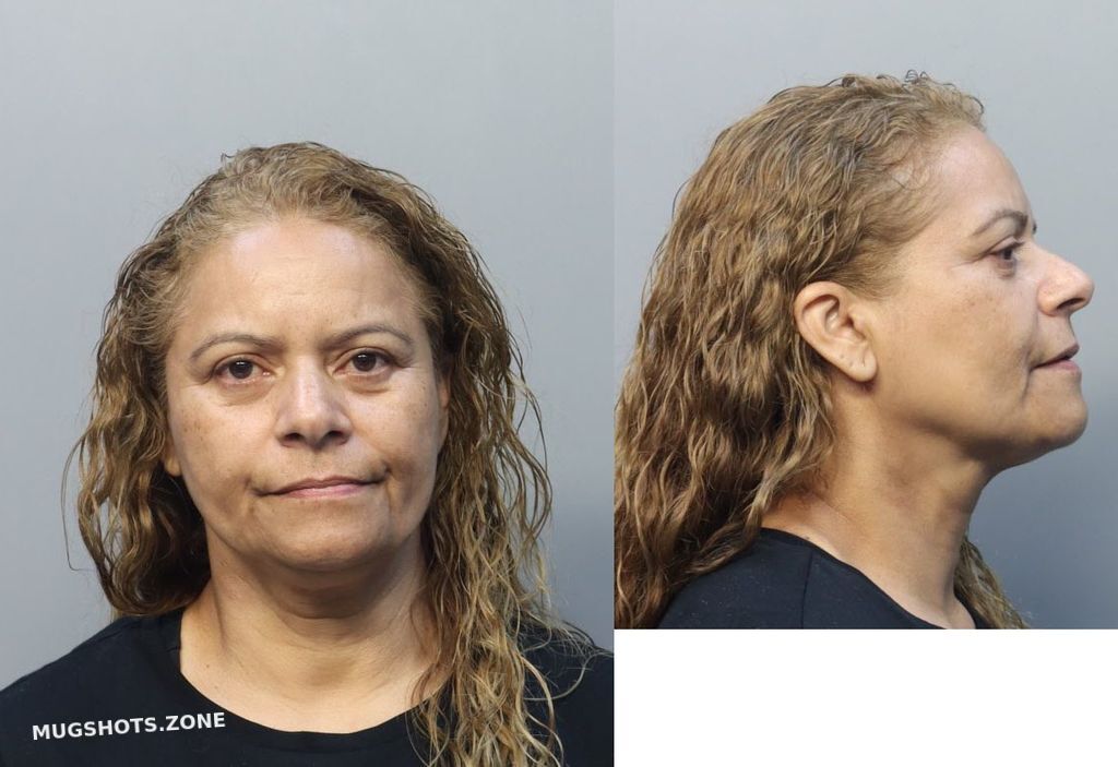 RODRIGUEZ LUZ DARY 04/20/2025 - Miami-Dade County Mugshots Zone