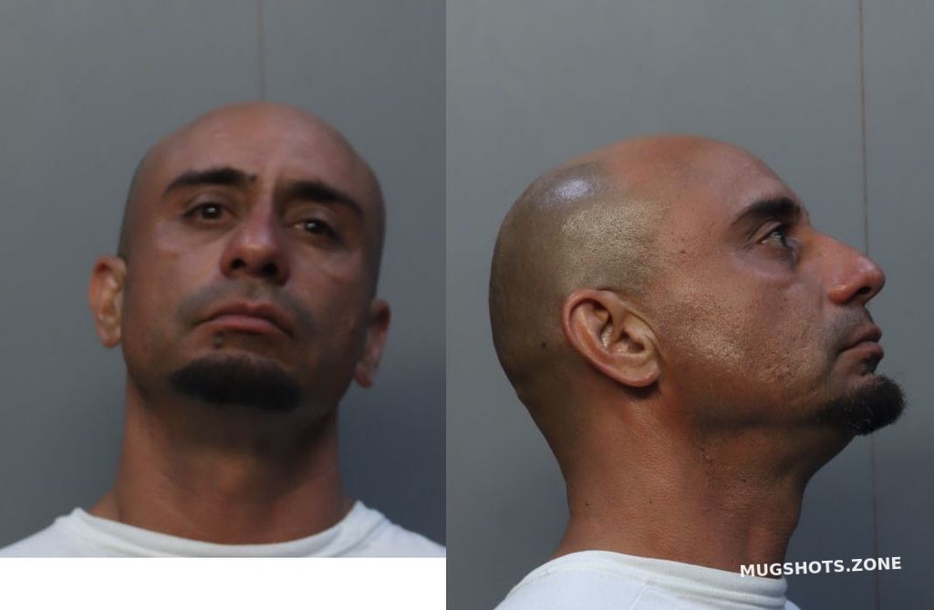 CASTANEDA CARLOS R 04/20/2025 - Miami-Dade County Mugshots Zone