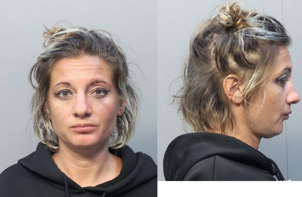 SULLIVAN SHAUNNA LYN 04/20/2025 - Miami-Dade County Mugshots Zone