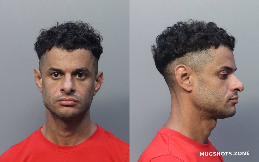 CARMENATES DENIS PONS 04/20/2025 - Miami-Dade County Mugshots Zone