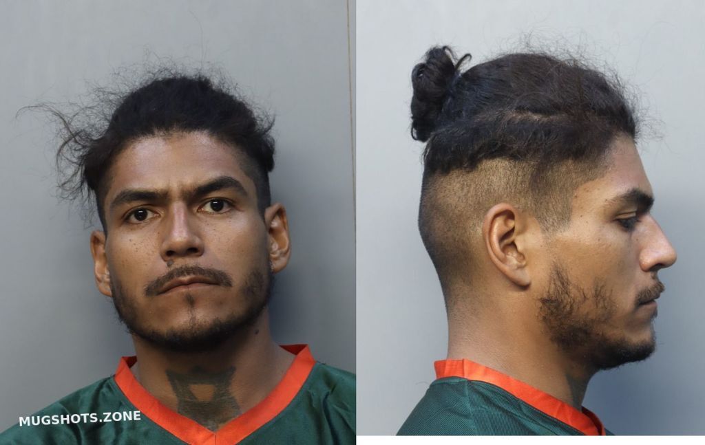 ROMAN LEO 04/24/2025 - Miami-Dade County Mugshots Zone