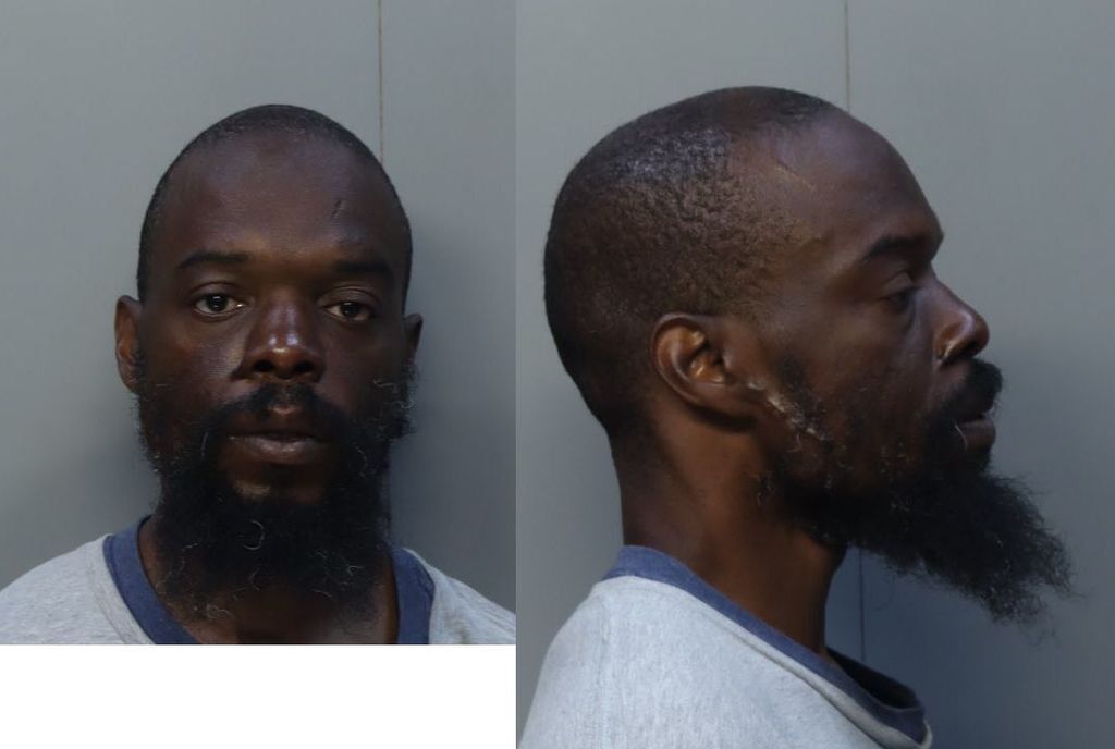 HAYES WILLIE JAMES 04/24/2025 - Miami-Dade County Mugshots Zone