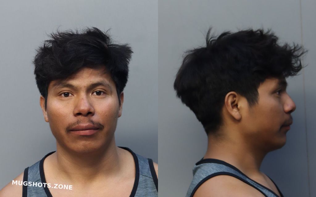 MARTINDIAZ AMILCAR 04/24/2025 - Miami-Dade County Mugshots Zone