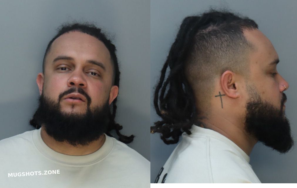 ANDRADE LEVIDSON 04/27/2025 - Miami-Dade County Mugshots Zone