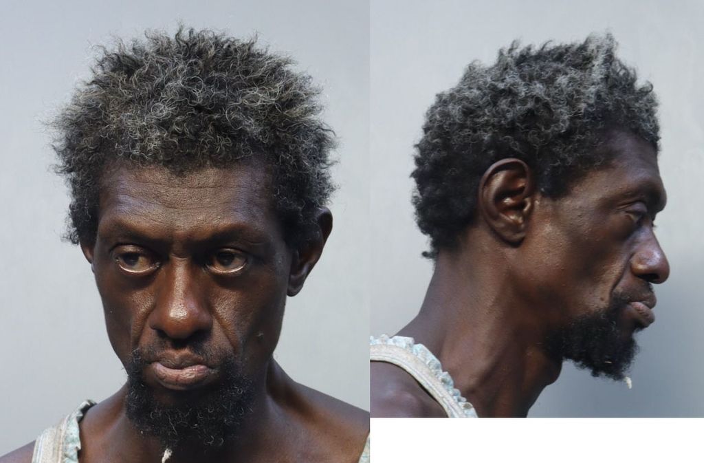 DAVIS WILLIAM 04/28/2025 - Miami-Dade County Mugshots Zone