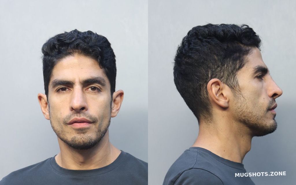 SOTO-ORTEGA DAVID ANDRES 04/29/2025 - Miami-Dade County Mugshots Zone