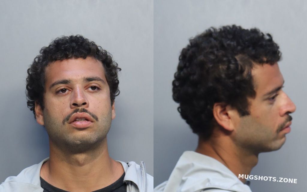 CASTILLO GIOVANN 05/03/2025 - Miami-Dade County Mugshots Zone