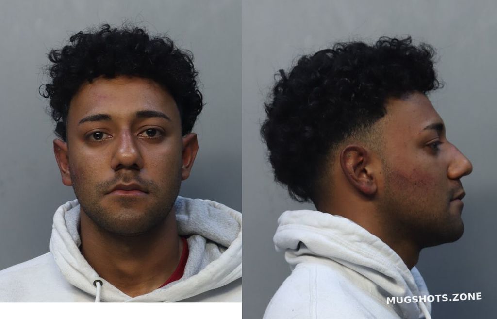 ESTRADA-MONTINO ELVIN ARIEL 05/16/2025 - Miami-Dade County Mugshots Zone