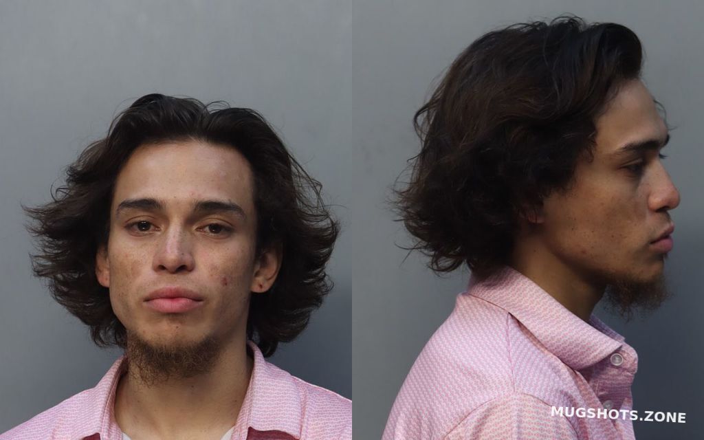 PARSON DANIEL DAVID 05/17/2025 - Miami-Dade County Mugshots Zone