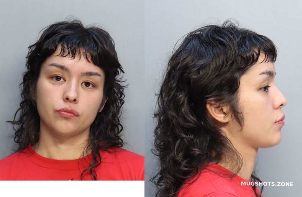 QUIROS-SOTO DANIELA MARIA 05/24/2025 - Miami-Dade County Mugshots Zone