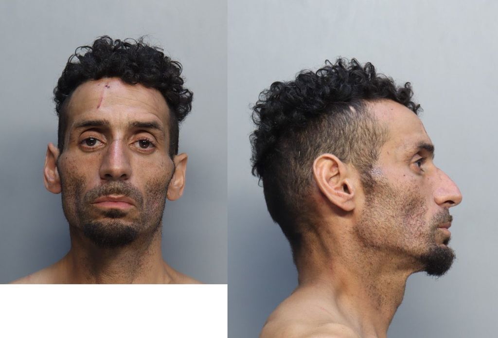 FERNANDEZ EDWARD 05/27/2025 - Miami-Dade County Mugshots Zone