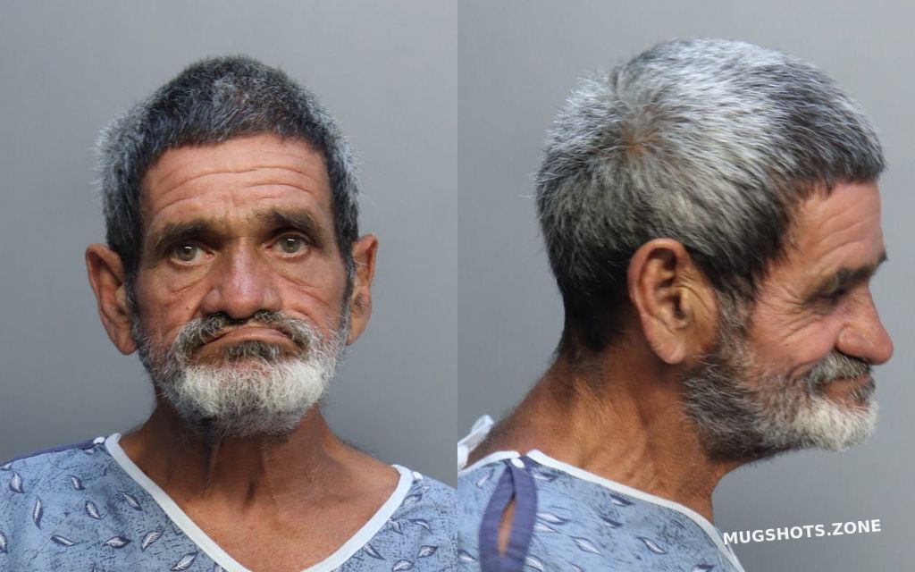 ALEMANJIMENEZ ALBERTO 05/28/2025 - Miami-Dade County Mugshots Zone