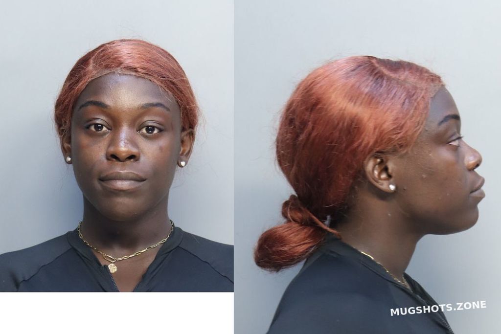 CIVIL SIAN A 05/29/2025 - Miami-Dade County Mugshots Zone