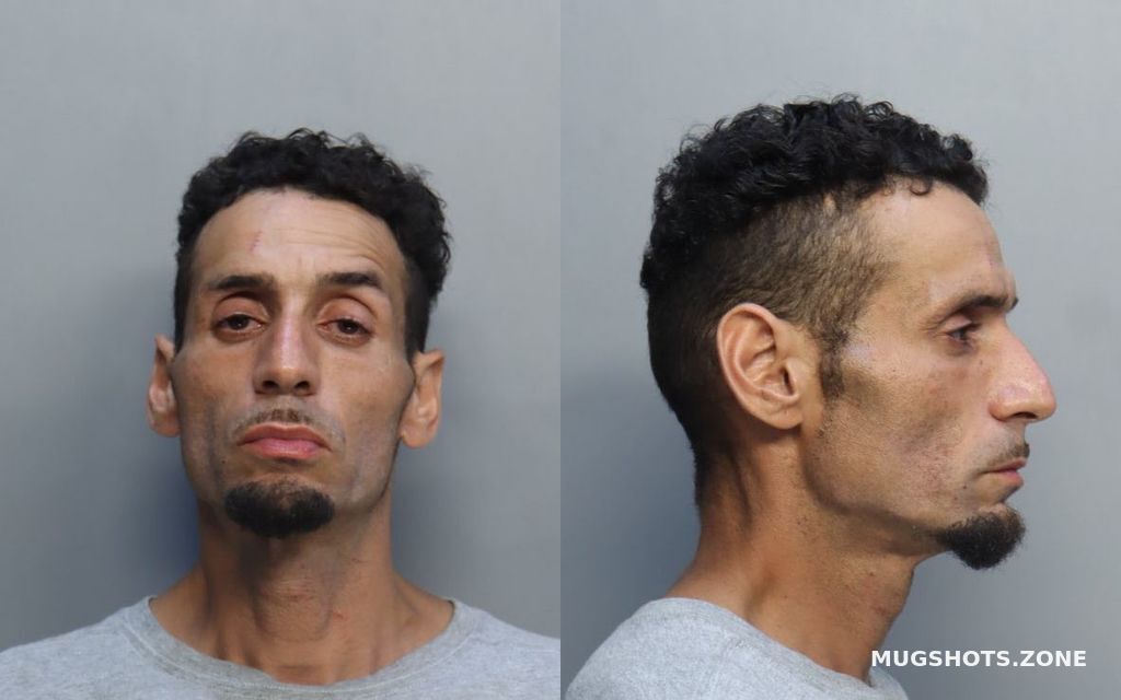 FERNANDEZ EDWARD 05/31/2025 - Miami-Dade County Mugshots Zone