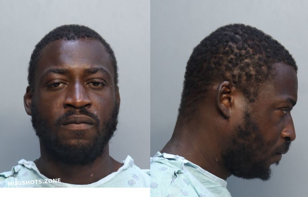DILLON WAYNE FABIAN 06/02/2025 - Miami-Dade County Mugshots Zone