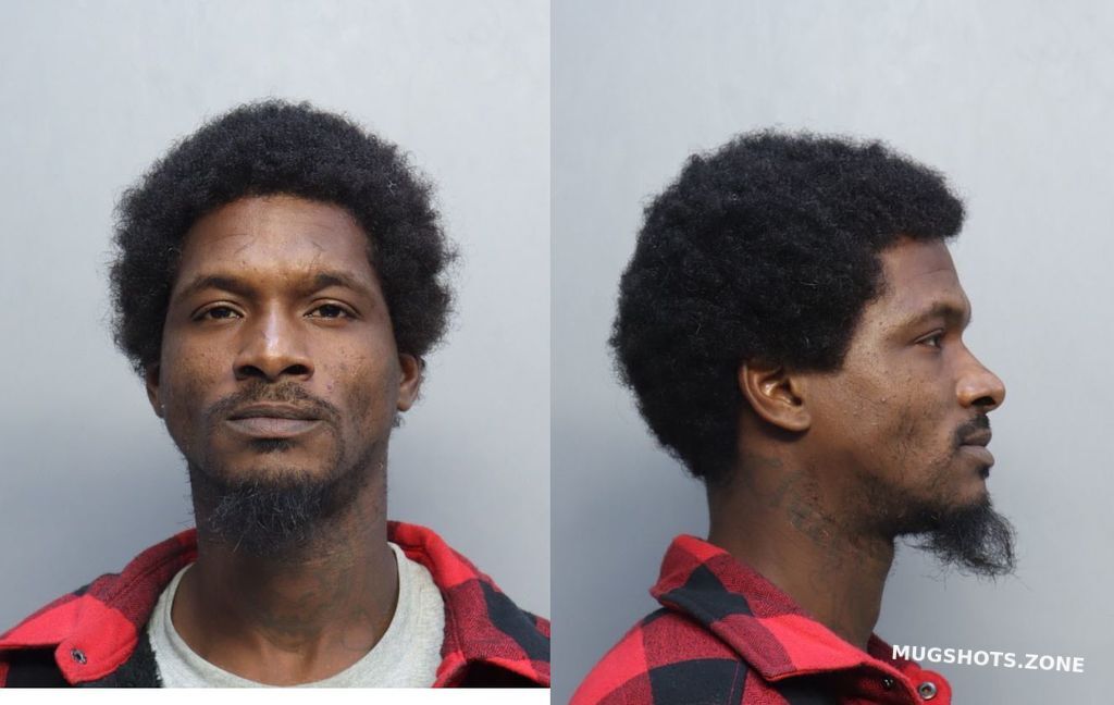 PERSON TERRY 06/04/2025 - Miami-Dade County Mugshots Zone