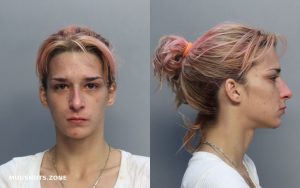 RODRIGUEZ SUSAN 06/04/2025 - Miami-Dade County Mugshots Zone