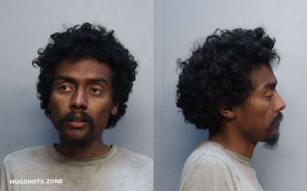 ALEXANDER JOSE DAVID 06/05/2025 - Miami-Dade County Mugshots Zone