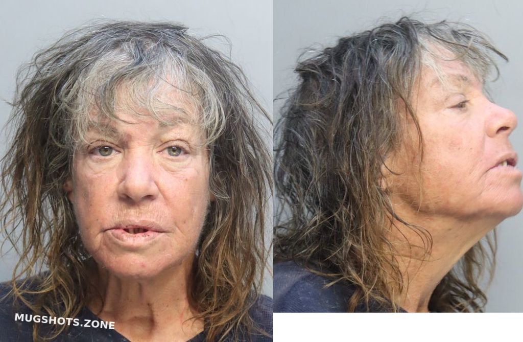 DAVIGNER DEBBIE 06/06/2025 - Miami-Dade County Mugshots Zone